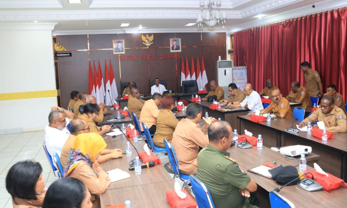 Babak Baru Papua Selatan: Gubernur Apolo Safanpo Pimpin Persiapan ...