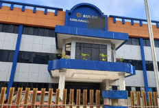 Jaringan Internet Papua Selatan Terganggu, Warga Pertanyakan Pola Putus ...